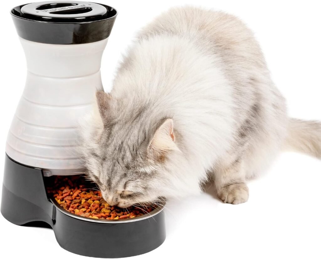 Automatic Feeder: 7 Ultimate Secrets For Easy Pet Feeding In 2026 | PetReviewers Daily